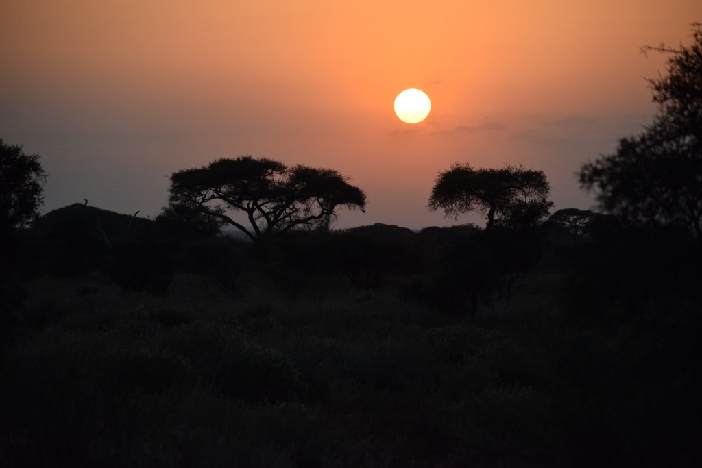 The Beauty of African Sunsets - Living The Q Life Travel Adventures